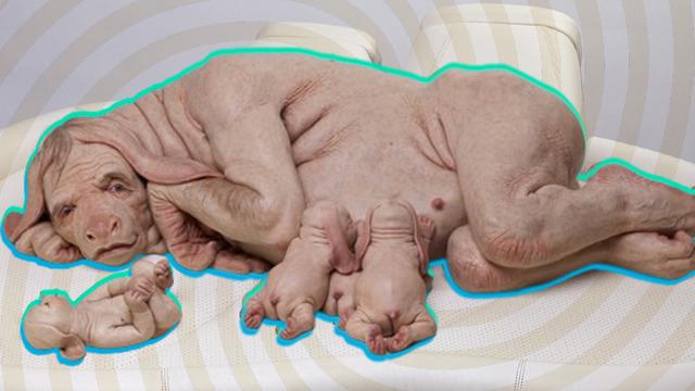 İnsan-Hayvan Melezi Canlılar Yetiştirirsek Ne Olur? - Webtekno – Güncel ...